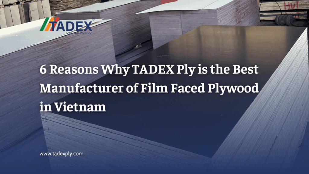 6 Reasons Why TADEX Ply Is the Best Manufacturer of Film Faced Plywood ...