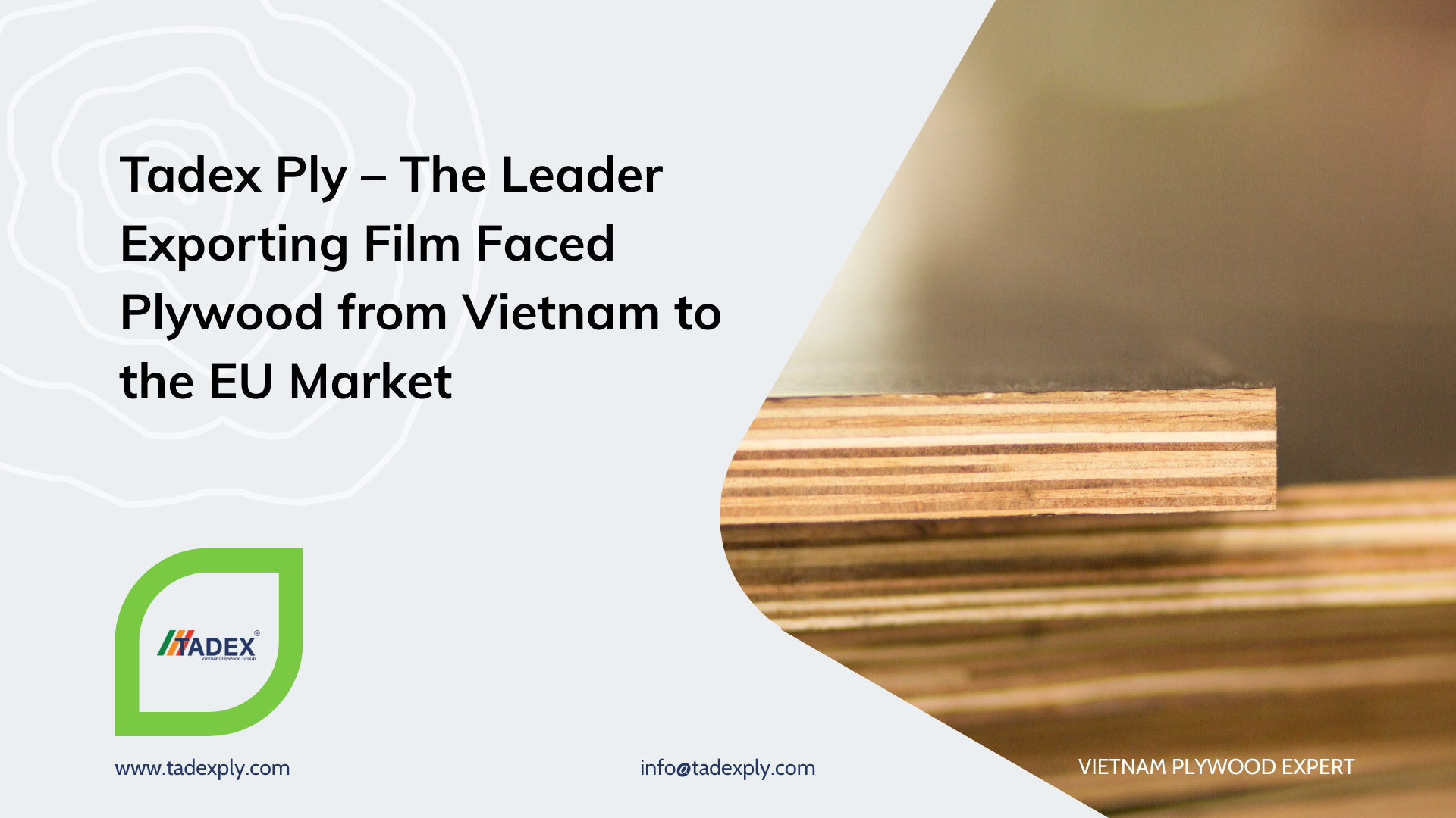 Tadex Ply – The Leader Exporting Film Faced Plywood from Vietnam to the ...