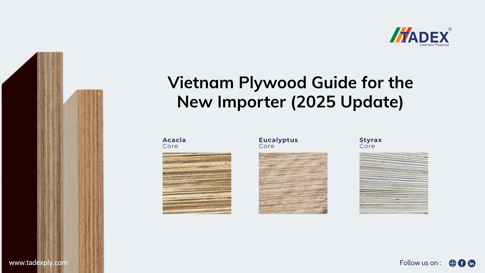 Vietnam Plywood Guide for the New Importer (2025 Update) - Tadex Ply